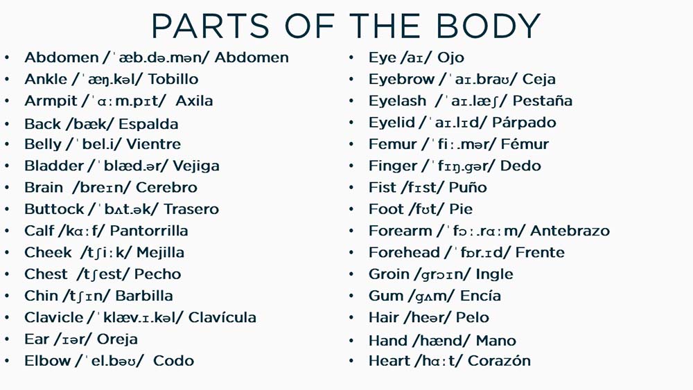 VOCABULARY: PARTS OF THE BODY - Phiteca